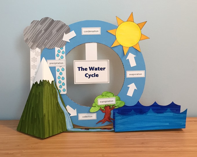 Water Cycle Anchor Chart - Etsy