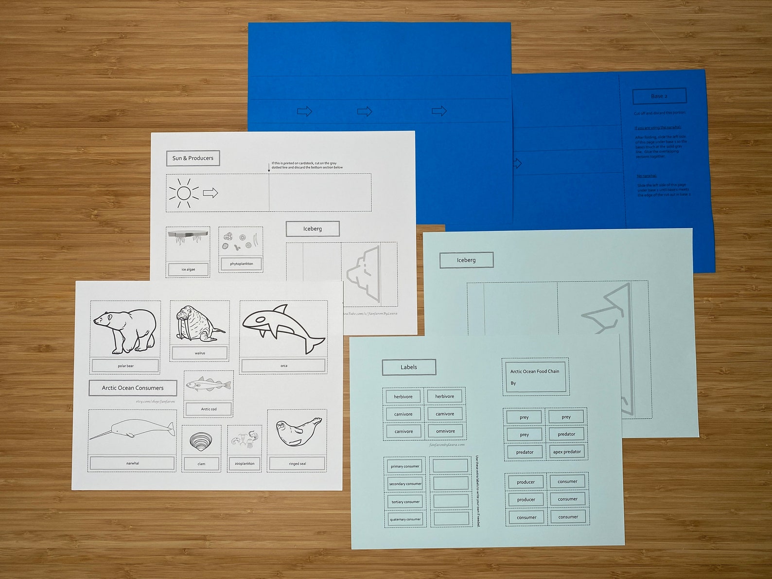 Arctic Ocean Food Chain Printable - Etsy