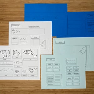 Arctic Ocean Food Chain Printable - Etsy