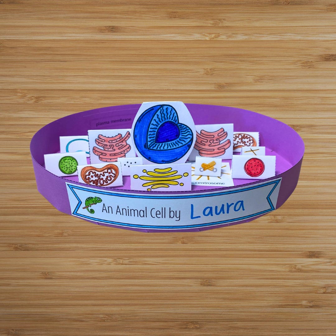 Paper Animal Cell Model - Etsy