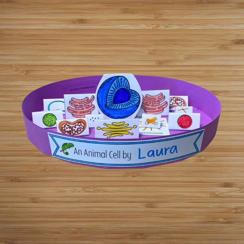 3d Paper Animals Kits - Etsy UK