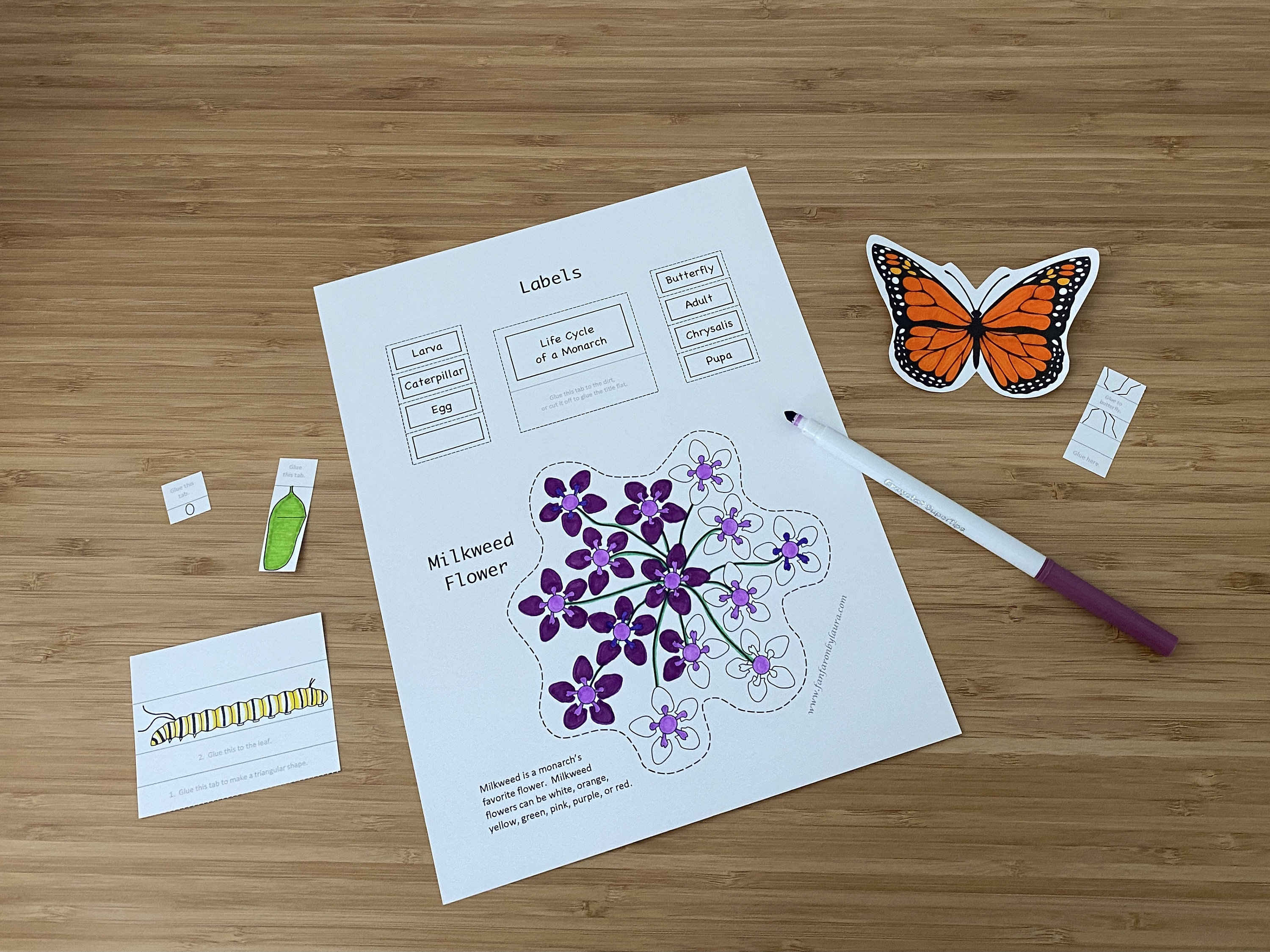 Monarch Butterfly Life Cycle Printable Papercraft - Etsy UK
