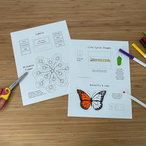 Monarch Butterfly Life Cycle Printable Papercraft - Etsy