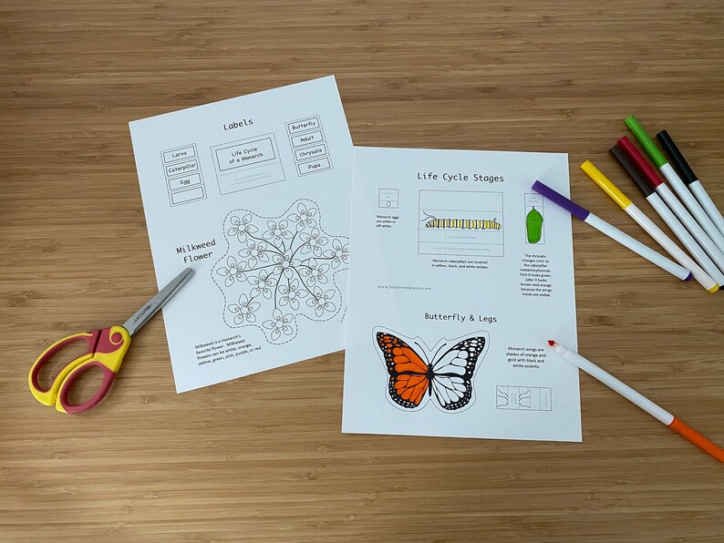 Monarch Butterfly Life Cycle Printable Papercraft - Etsy UK