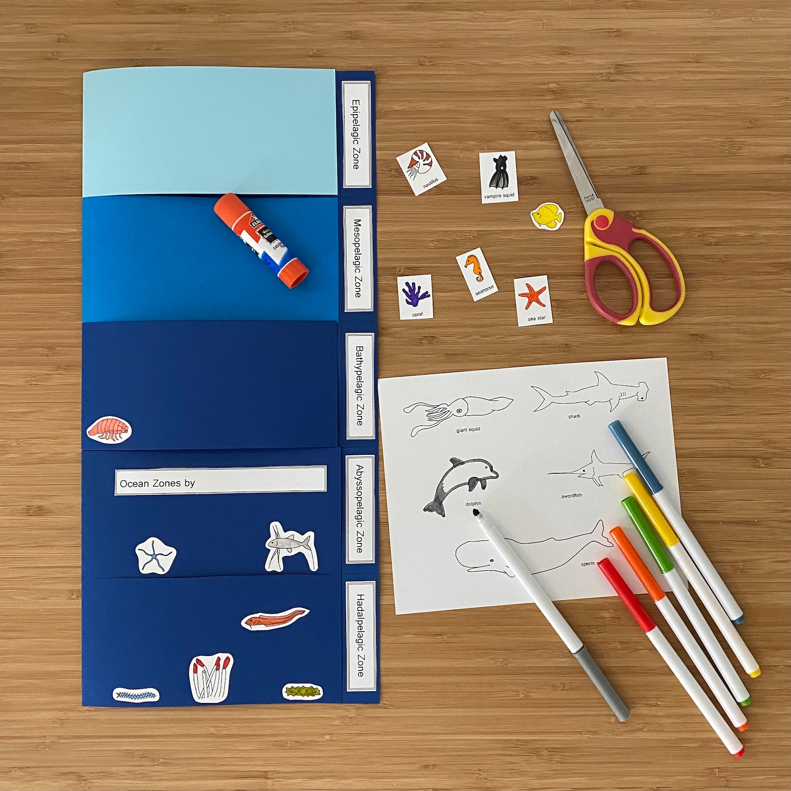 5 Zones of the Ocean Project - Etsy