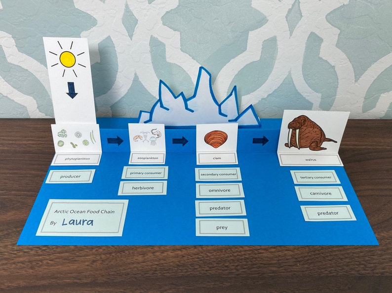 Arctic Ocean Food Chain Printable - Etsy