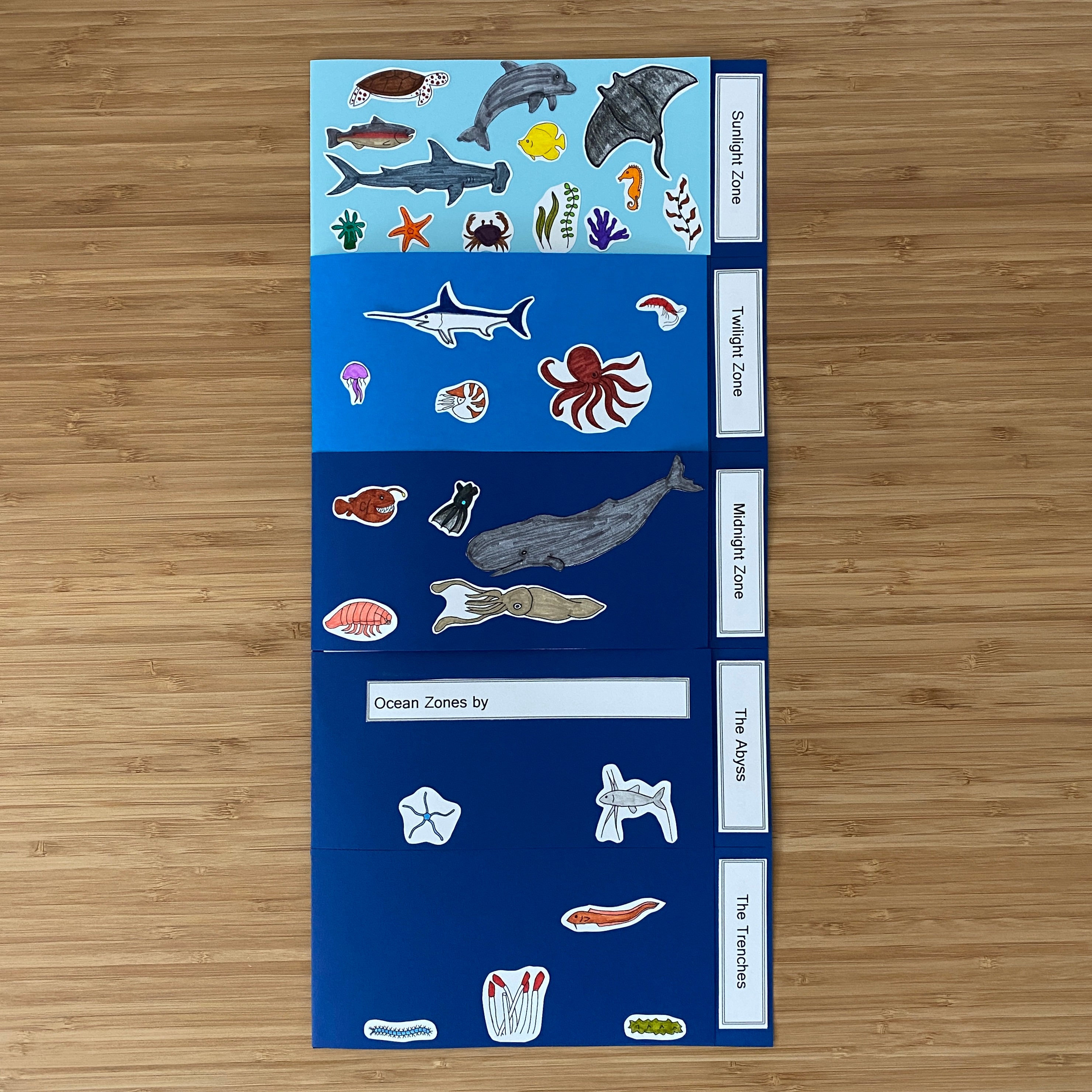 Ocean Floor Model Project Ideas