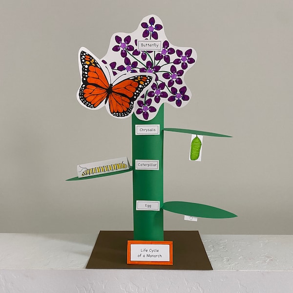 Butterfly Models - Etsy UK