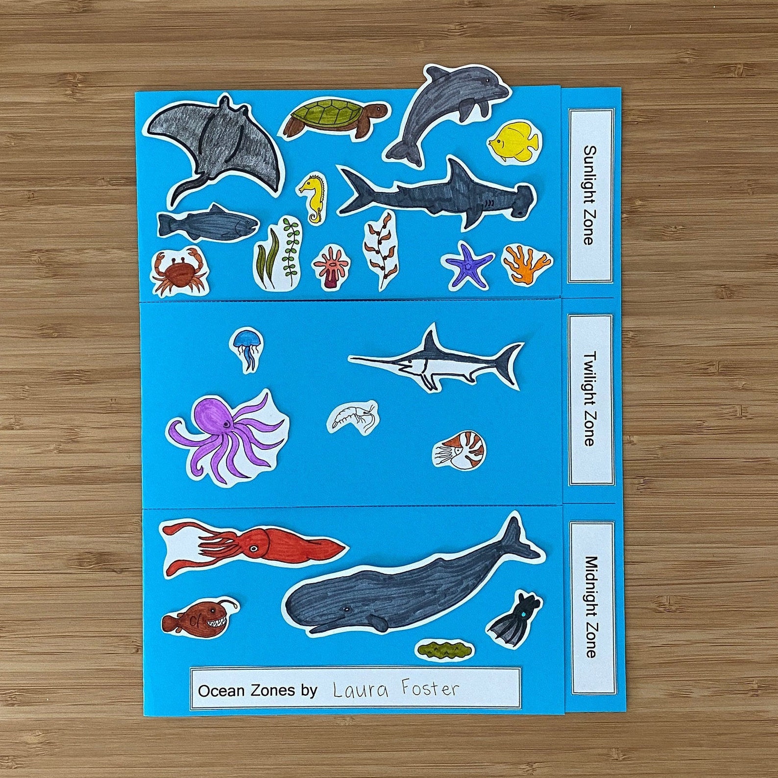 Top 3 Zones of the Ocean Project - Etsy