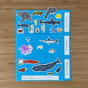 Top 3 Zones of the Ocean Project - Etsy