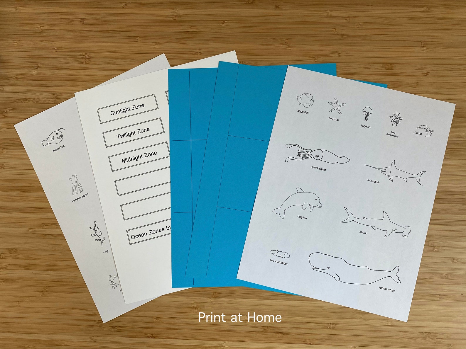 Top 3 Zones of the Ocean Project - Etsy