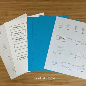 Top 3 Zones of the Ocean Project - Etsy