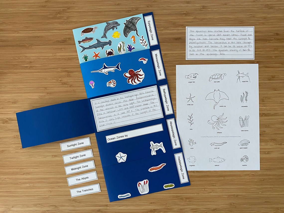 5 Zones of the Ocean Project - Etsy