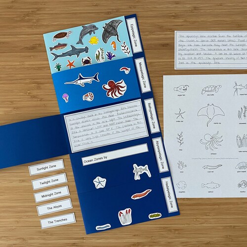 5 Zones of the Ocean Project - Etsy