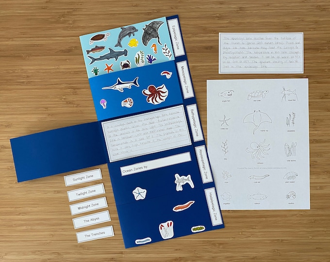 A2 Ocean Zones Poster - Etsy