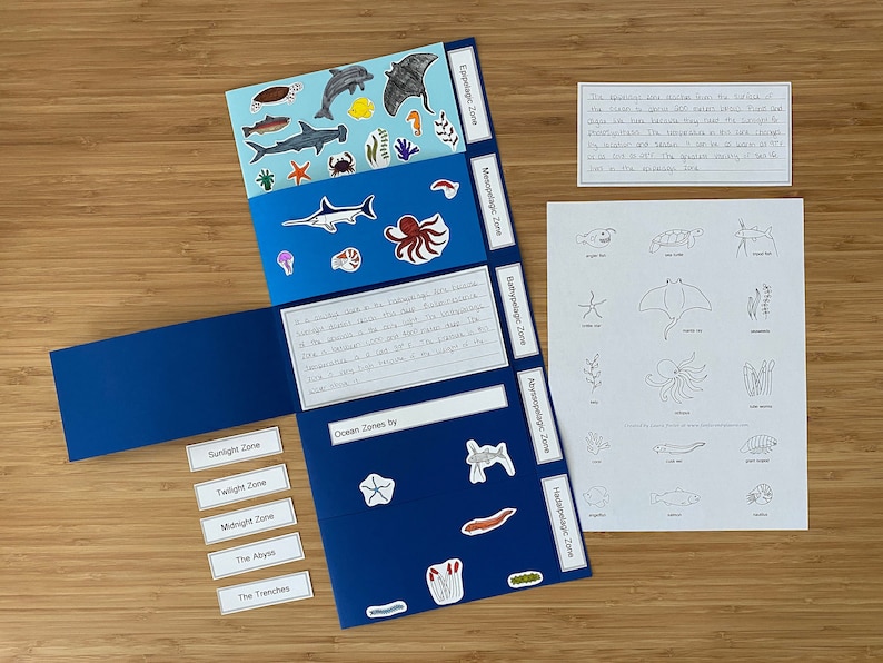 5 Zones of the Ocean Project - Etsy