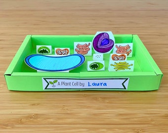 DIY 3D Paper Cells Models, 3D Paper Animal Cell, Paper Plant Cell ...