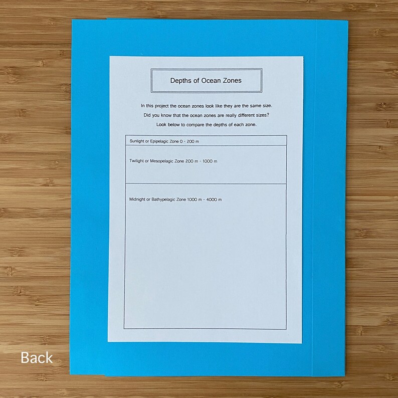 Top 3 Zones of the Ocean Project - Etsy