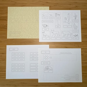 Sonoran Desert Food Chain Printable - Etsy