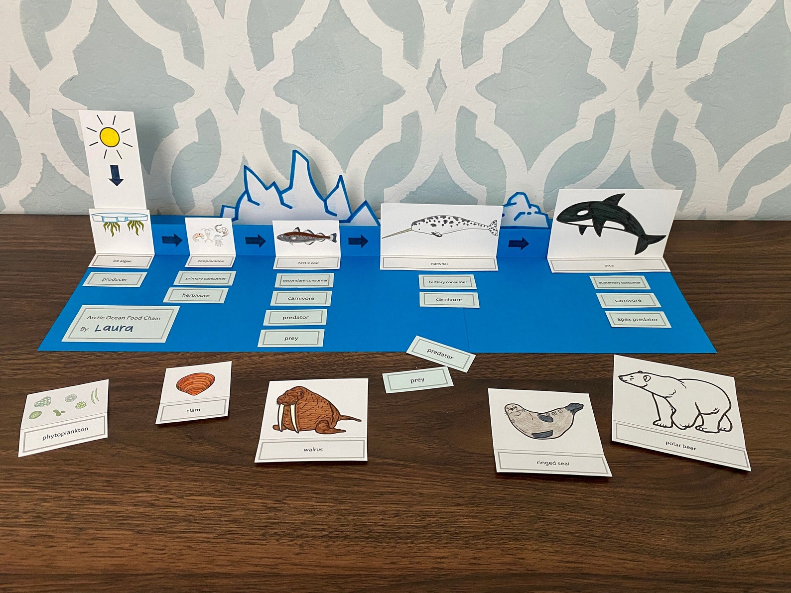 Arctic Ocean Food Chain Printable - Etsy