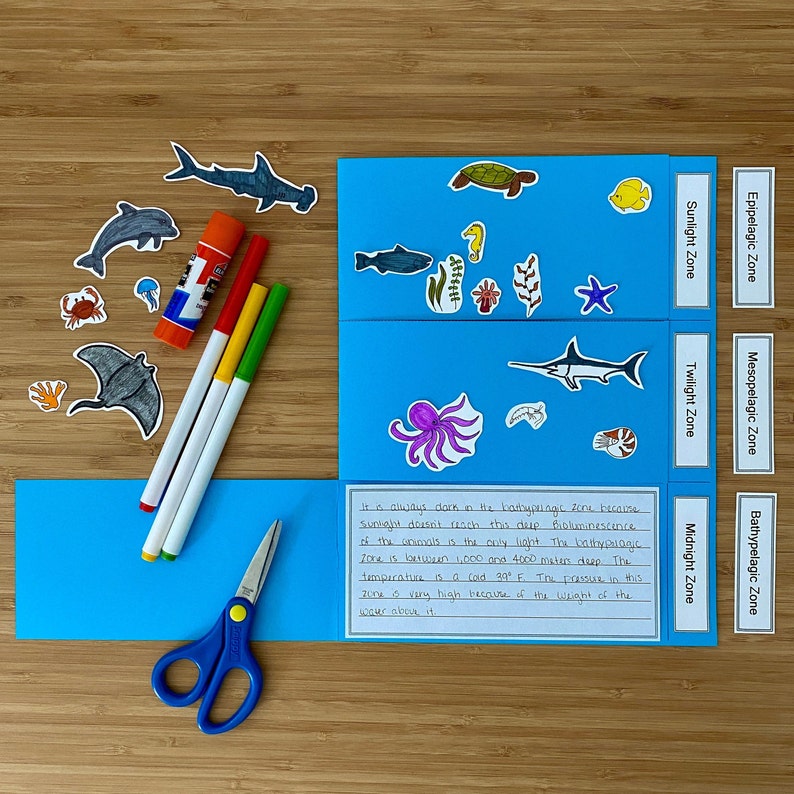 Top 3 Zones of the Ocean Project - Etsy