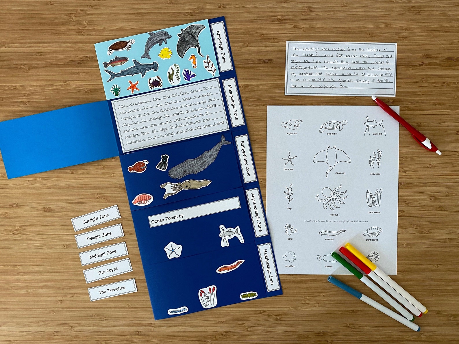 5 Zones of the Ocean Project - Etsy