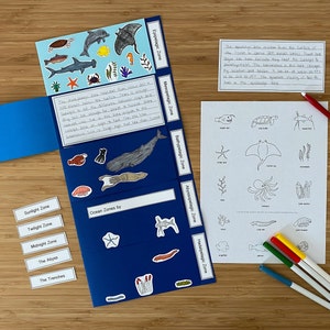 5 Zones of the Ocean Project - Etsy