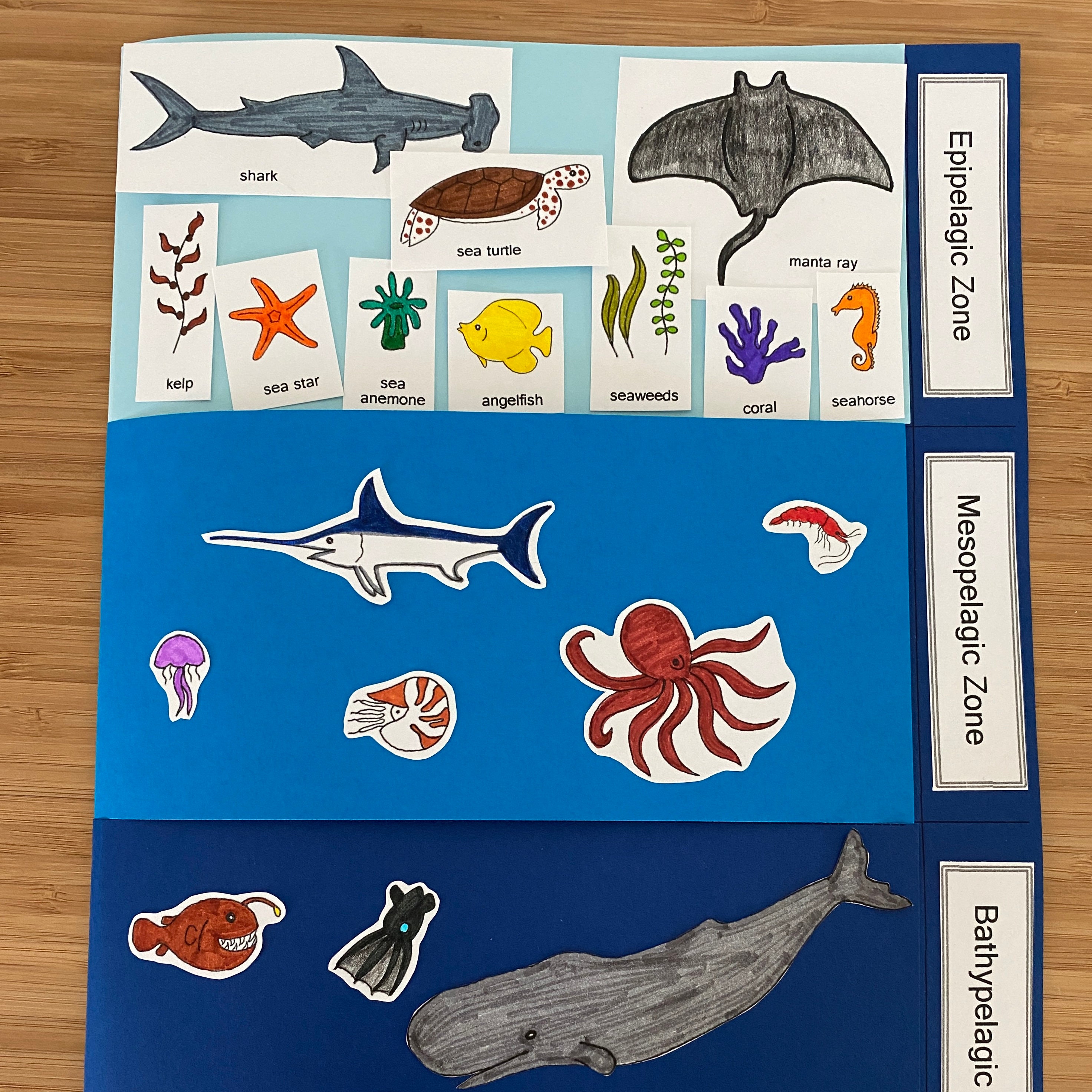 5 Zones of the Ocean Project | Etsy Canada