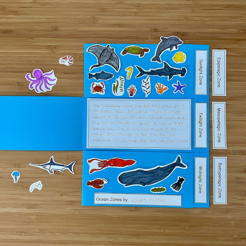 Top 3 Zones of the Ocean Project - Etsy