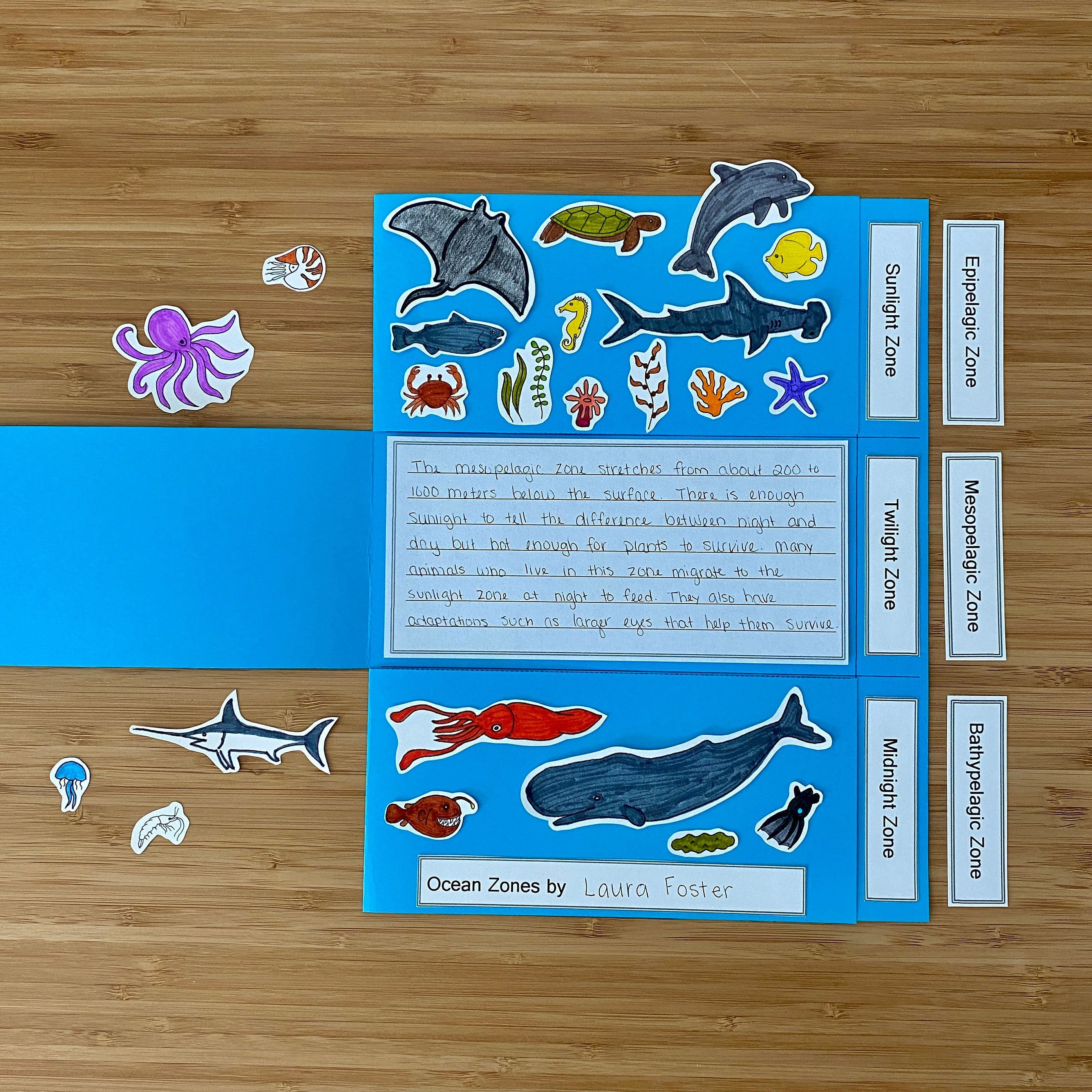 Epipelagic Zone Animals