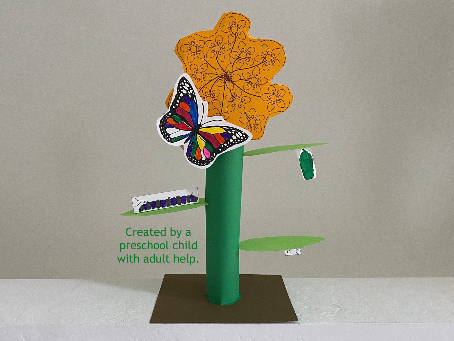 Monarch Butterfly Life Cycle Printable Papercraft - Etsy