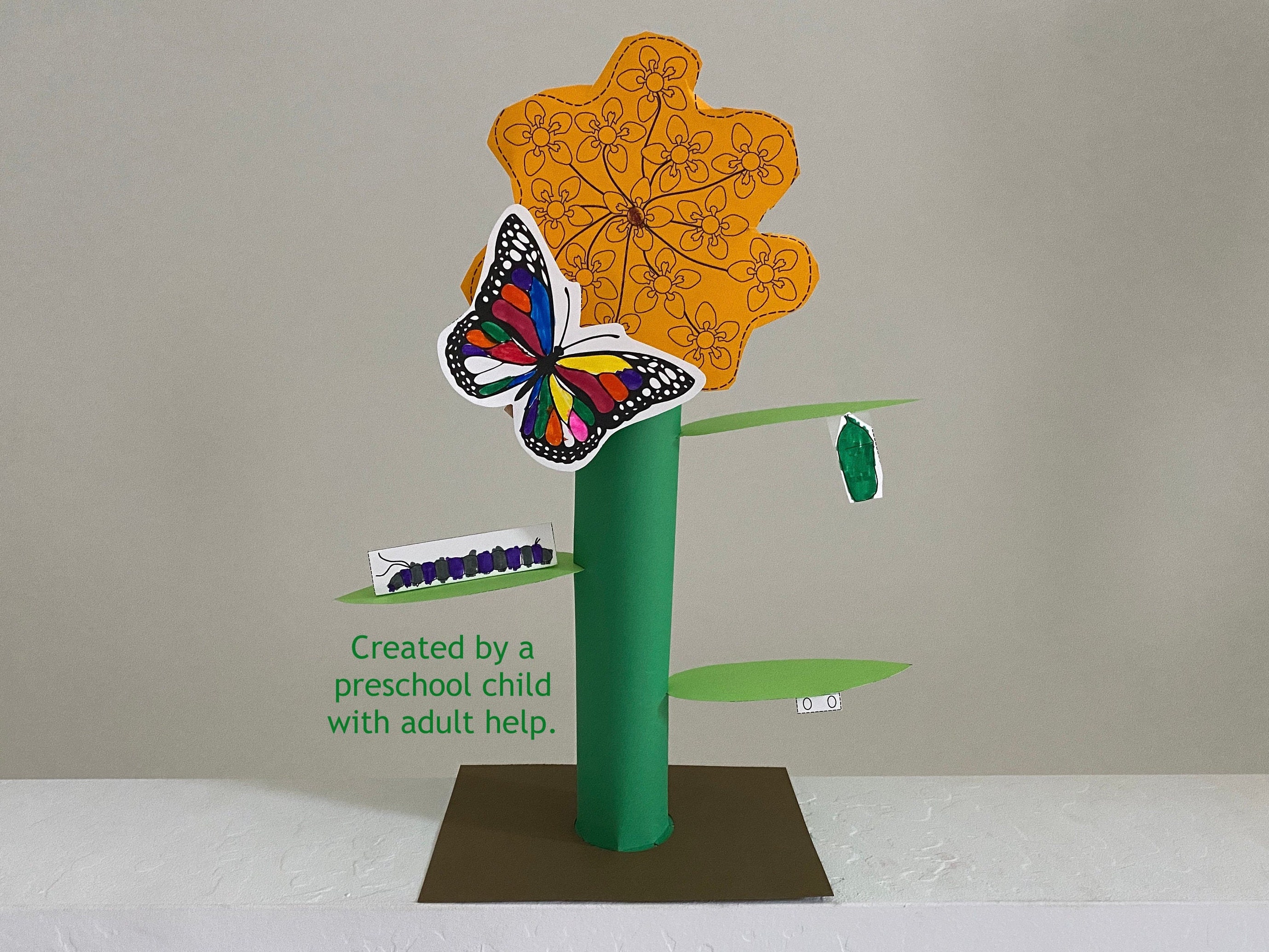 Monarch Butterfly Life Cycle Printable Papercraft - Etsy UK