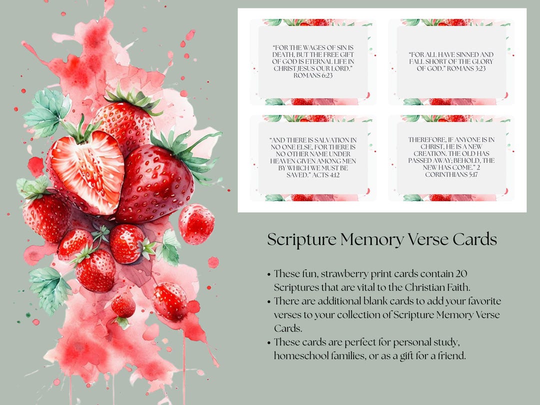 Scripture Memory Verse Cards-encouraging Bible Verses for Daily ...