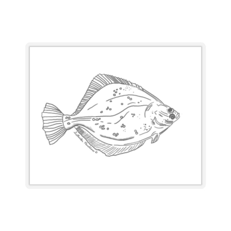 Saltwater Flounder Sticker - Etsy