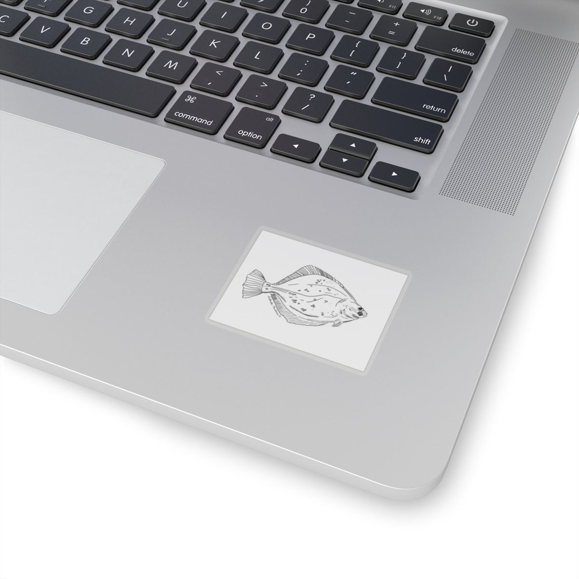 Saltwater Flounder Sticker - Etsy