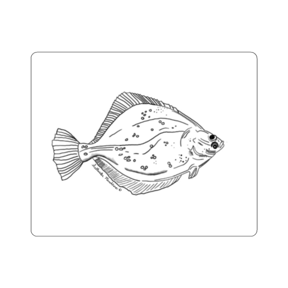 Saltwater Flounder Sticker - Etsy
