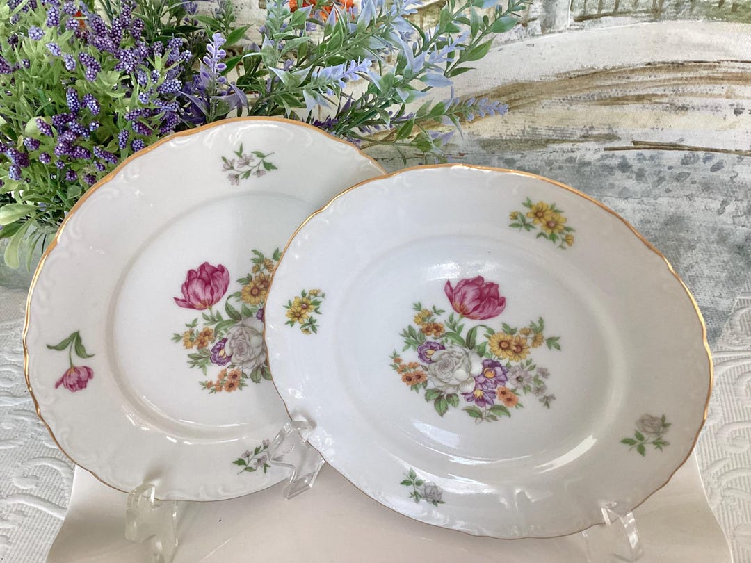 Vintage Bohemian China Czechoslovakia Set of 2 Dessert Plates Cake ...