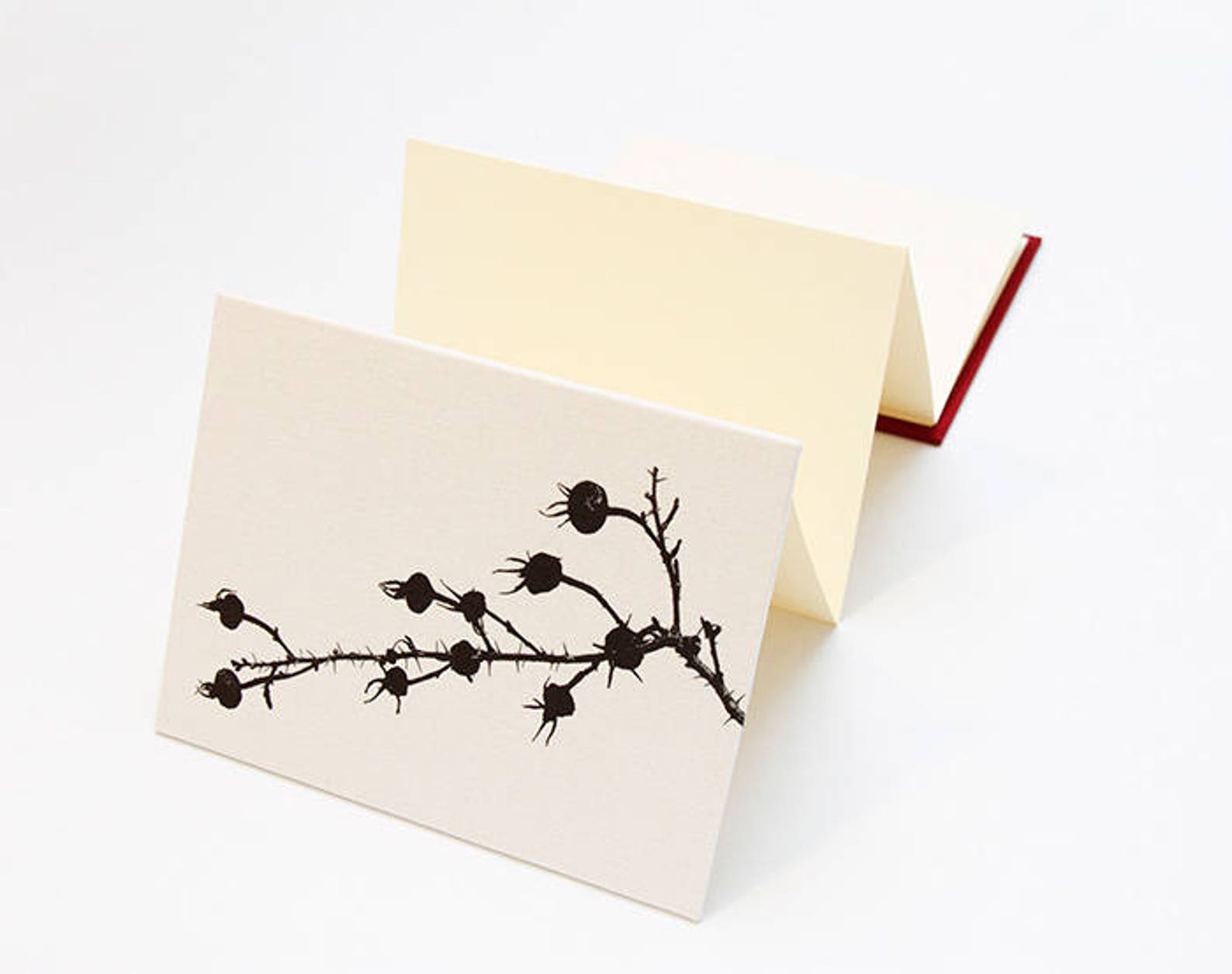 Concertina Photo Book Handmade Leporello / Concertina Album "rose Hips ...