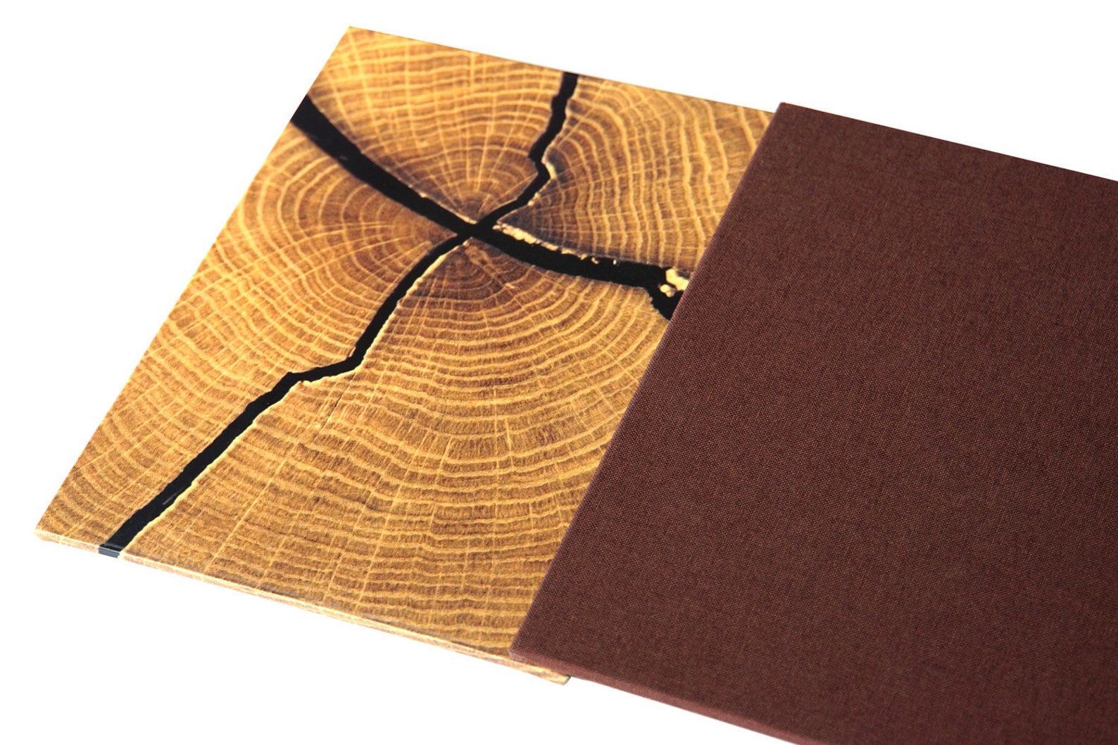 Handmade Japanese Concertina Photo Book tree Rings - Etsy