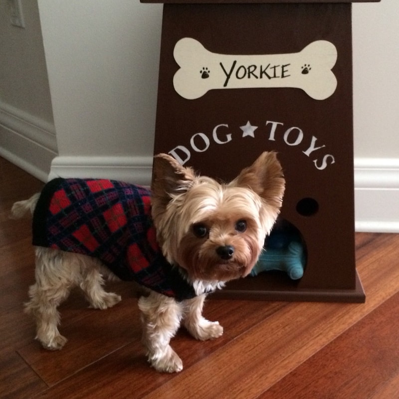 Dog Toy Wooden Box Black - Etsy