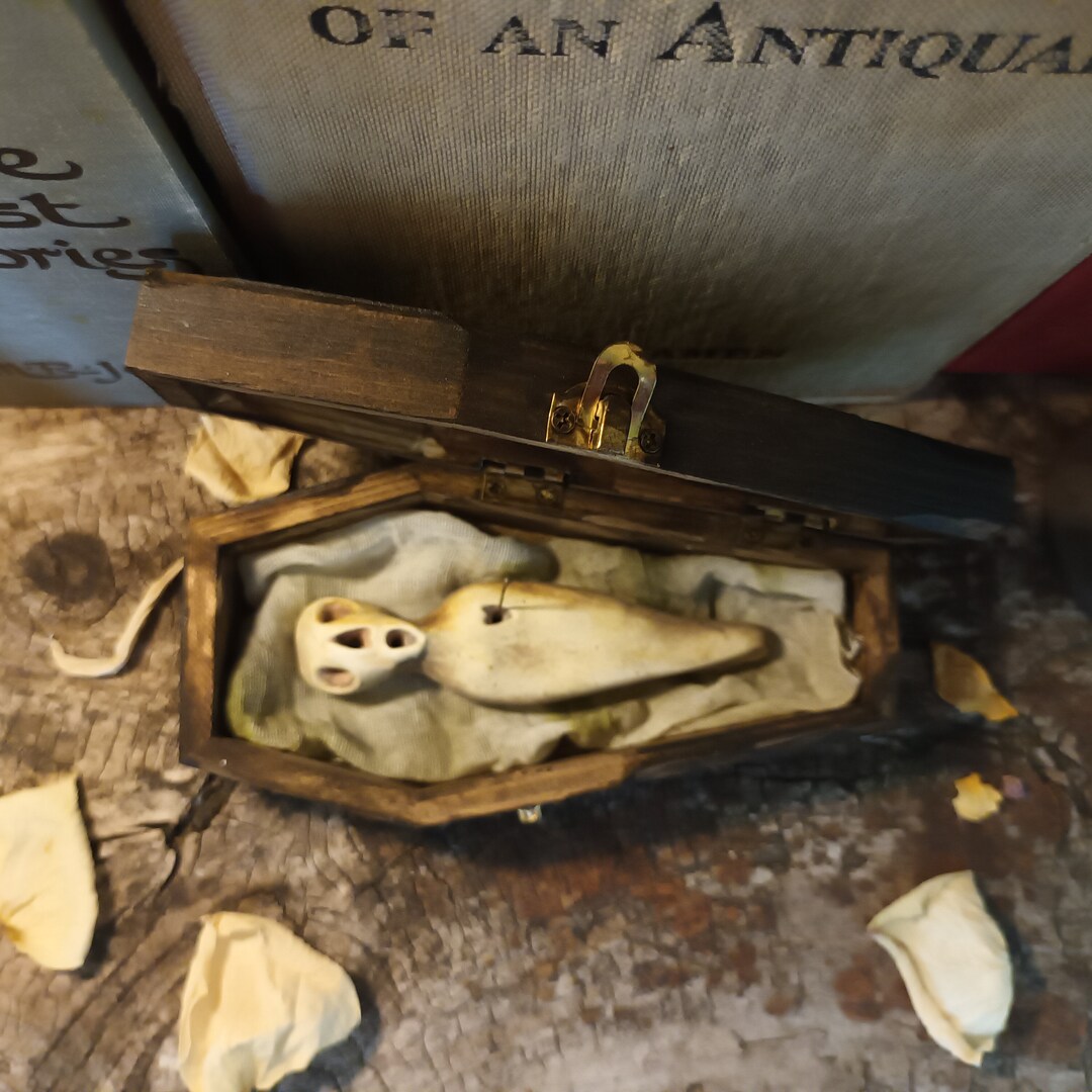 Poppet and Coffin, Gothic, Gift. Halloween, Yule, Birthday, Sculpture ...