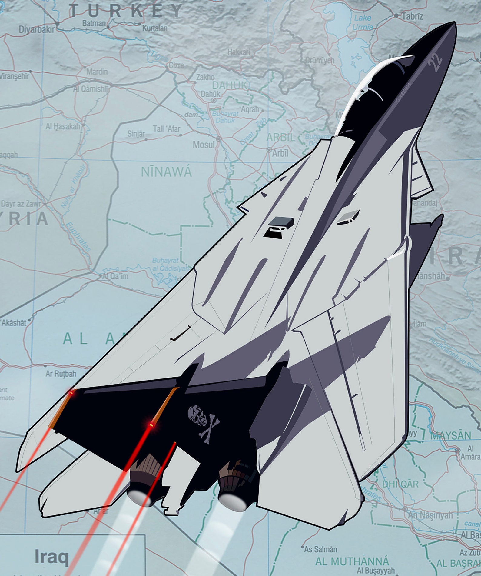 F-14 Tomcat - Etsy Canada