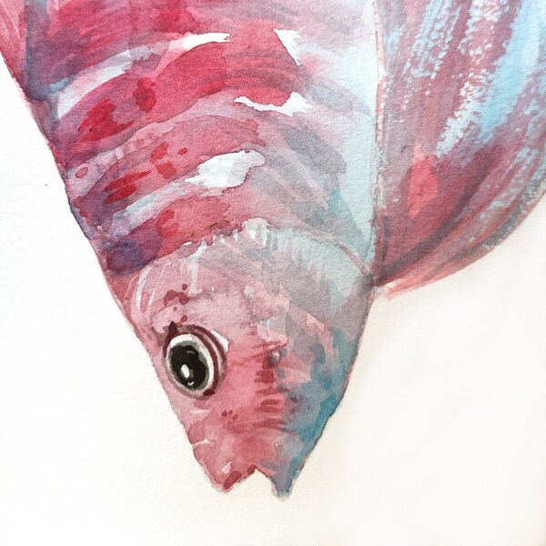 Pink Fish Wall Paper - Etsy