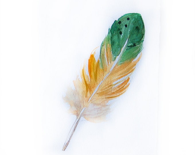 Watercolor Painting-watercolor Feather-art Painting Feather-feather in ...