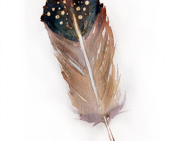 Watercolor Painting of Feather-feather in Watercolor-art Original ...
