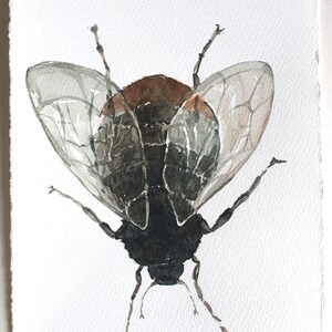 Flying Insect Painting Watercolour Art Original Bee Wall Art/ Botanical ...