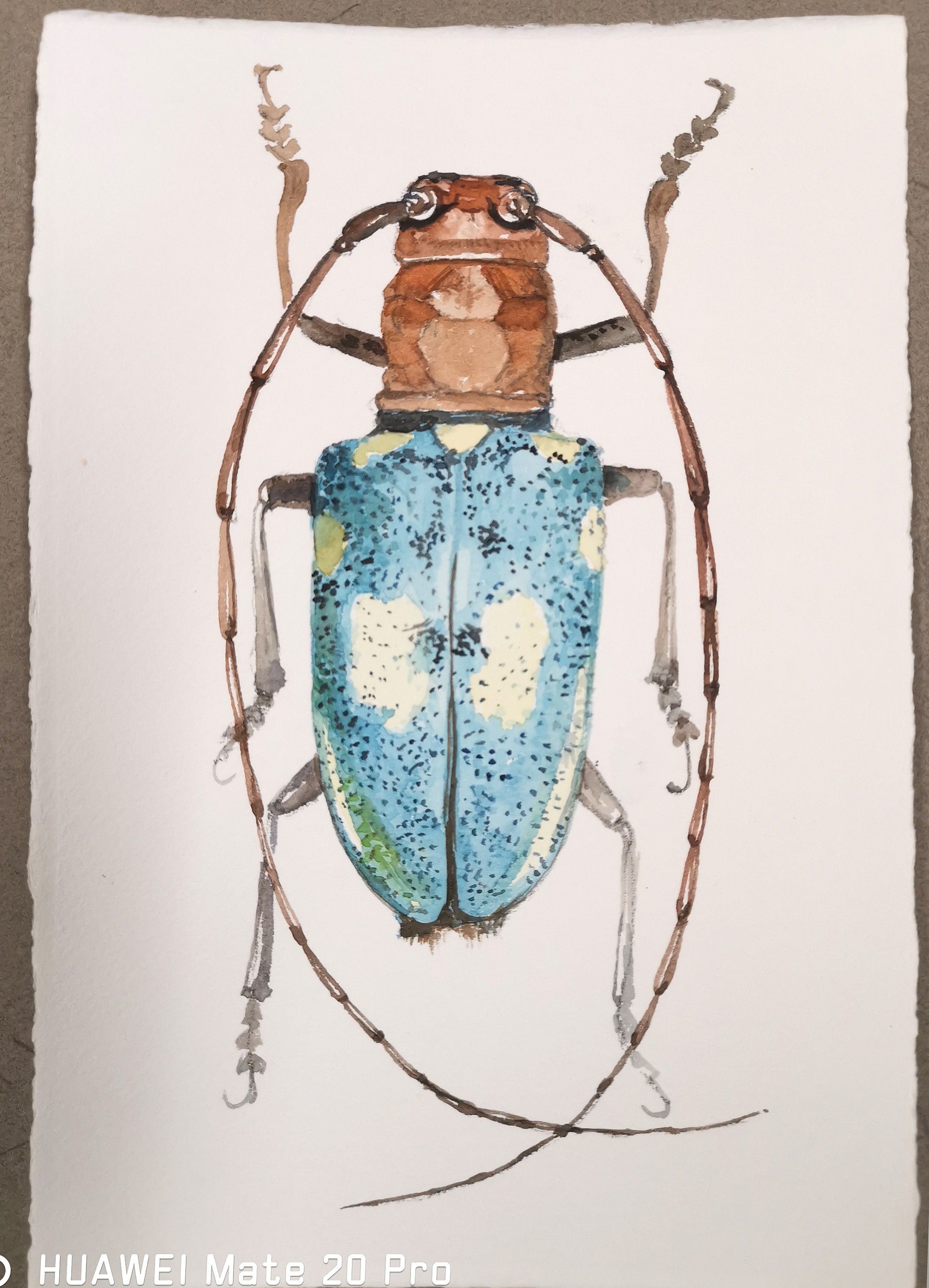 Watercolour Beetle Painting | Blue Beetle Illustration | Insect ...