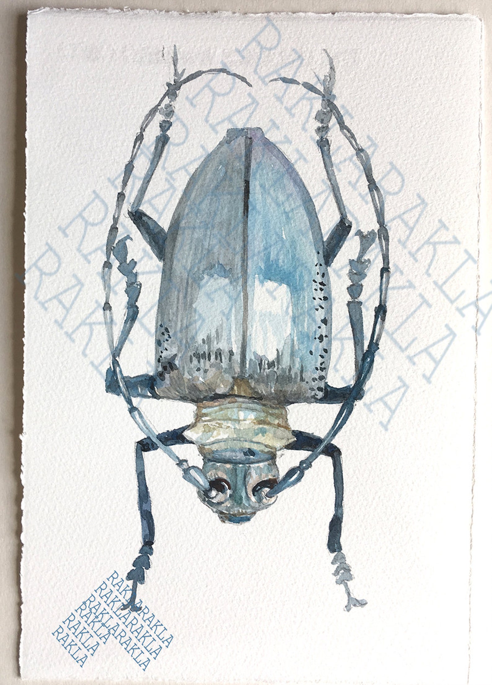 Insect Watercolour Painting Original Rosenbergia Vetusta - Etsy