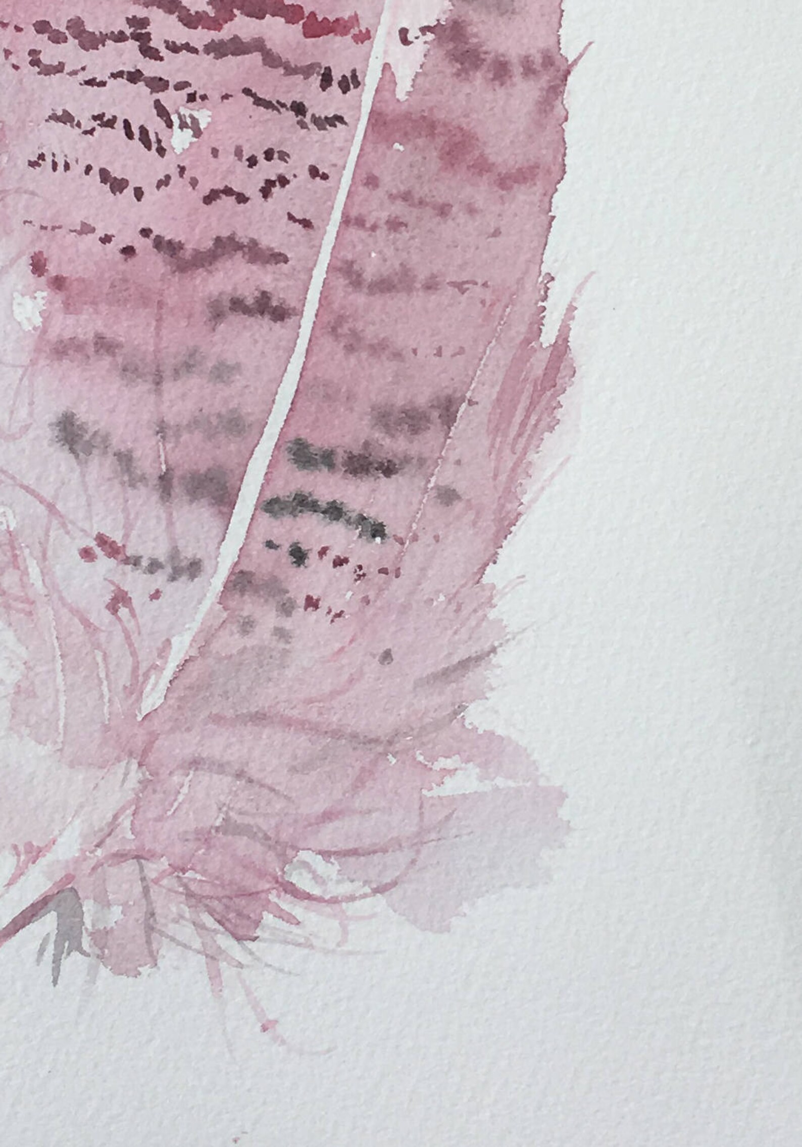 Pale Pink Feather Painting Watercolour Original Fantasy Feather Artwork ...