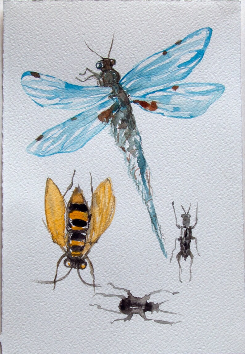 Libelle Aquarell. Insekt Malerei. Natur-Illustration. Aquarell - Etsy.de